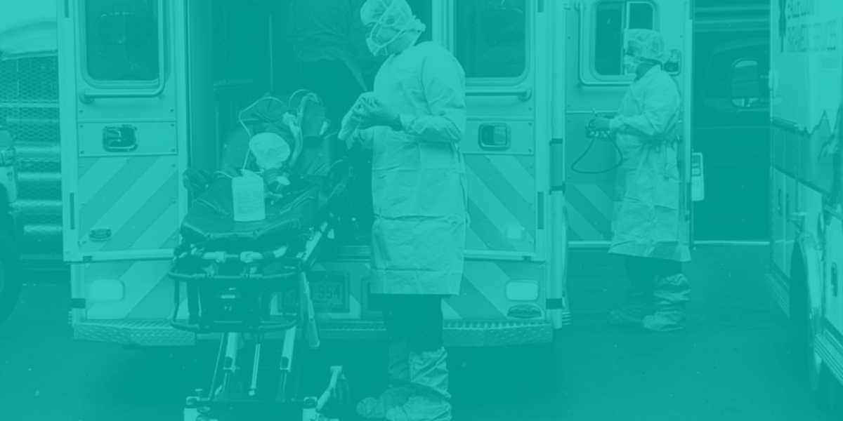 Hippo Health - Scaling Telehealth | Viget