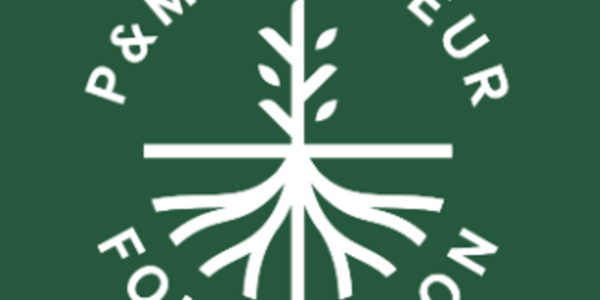 Building a Website with No Code for a Homegrown Non-Profit with Tons of ...