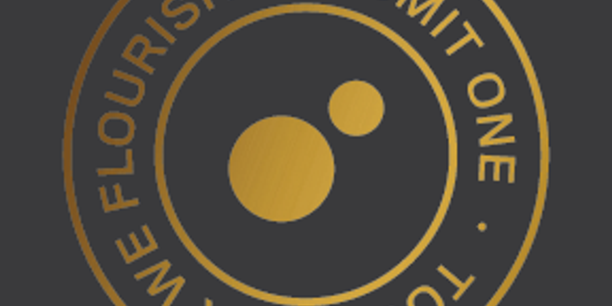 Celebrating 19 Years of Talent | Viget