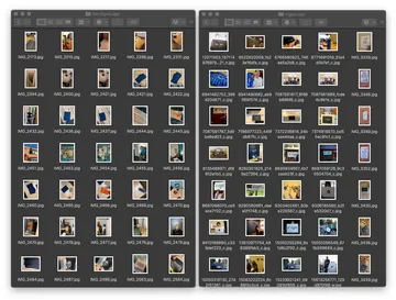 Build a Logo-Detecting App with iOS Machine Learning | Viget