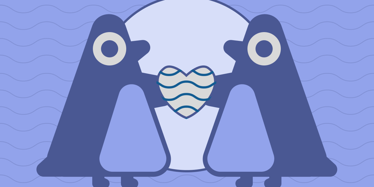 Building Well-Connected Distributed Teams | Viget